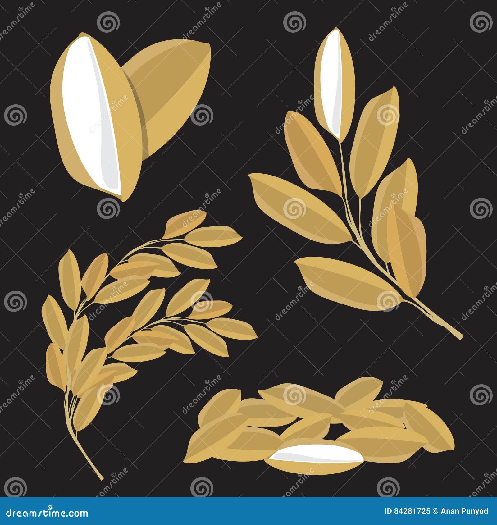 Paddy Rice Seed Vector Nature Raw Food Design Stock Vector ...