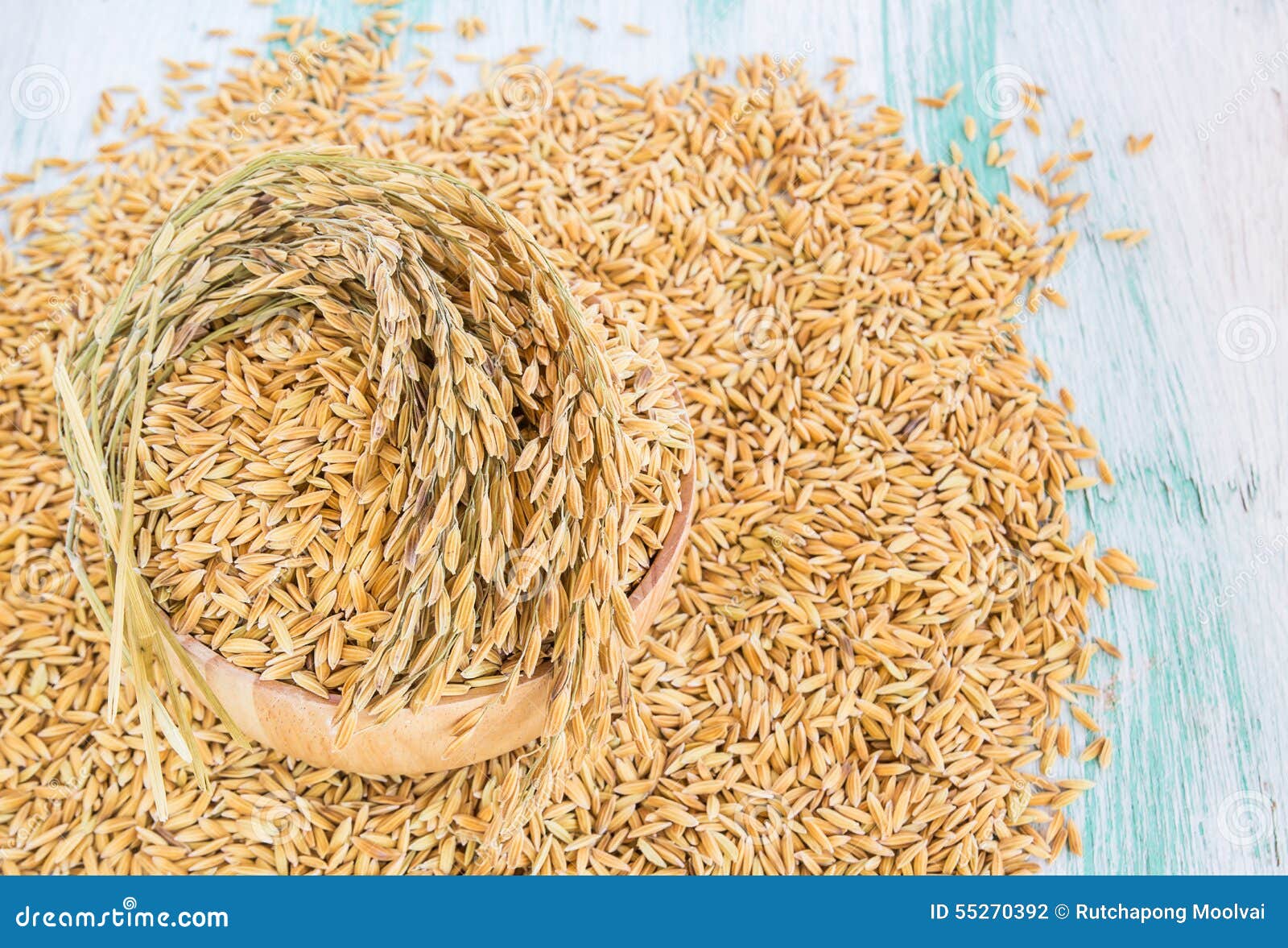 Rice Seed Royalty-Free Stock Image | CartoonDealer.com #62480950
