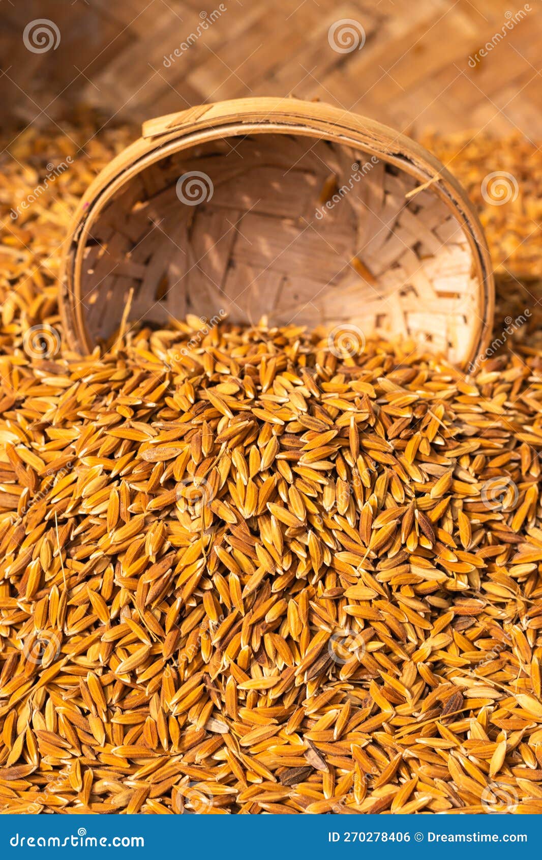 Paddy Rice Seeds in Bamboo Bowl from Top Angle at Day Stock Photo ...