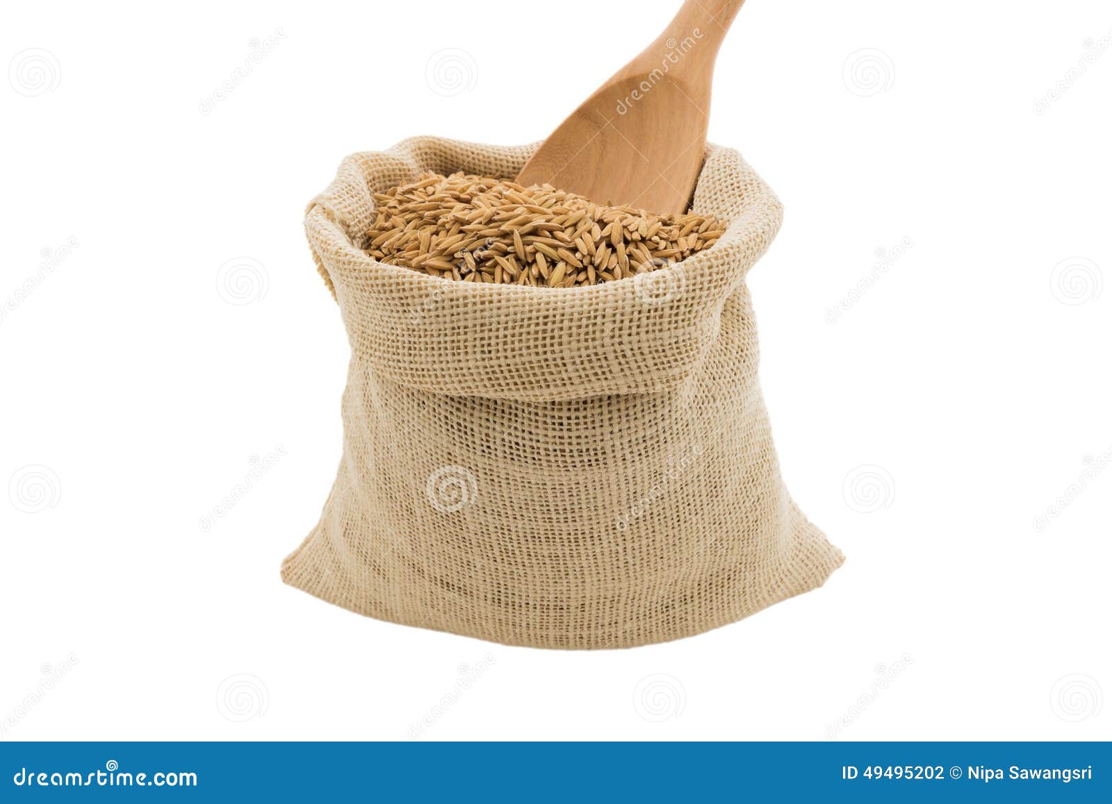 Paddy Rice in Small Burlap Sack Stock Photo - Image of east, beauty ...
