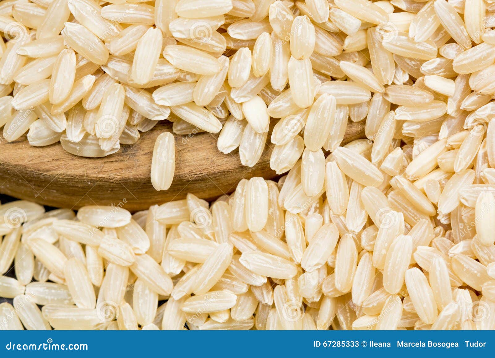 Paddy Rice Texture and Background Stock Image - Image of east, grain ...