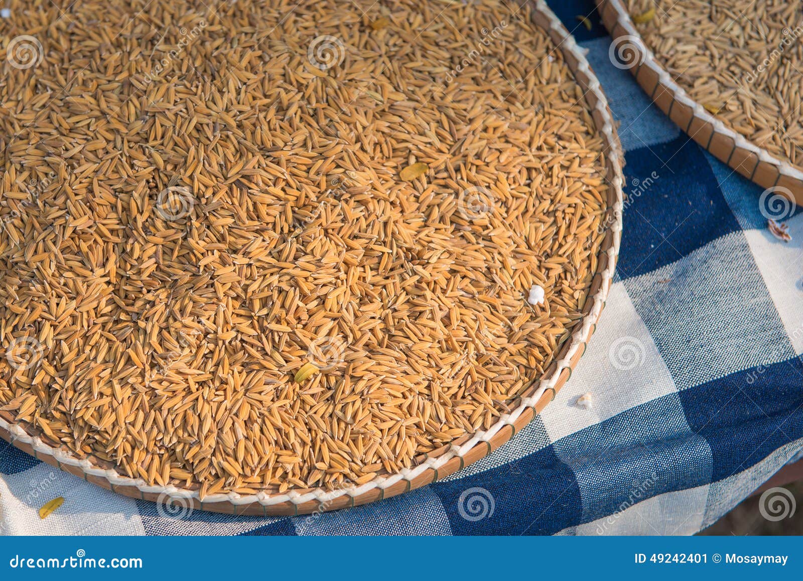 Paddy Rice in Thai Bamboo Basket Stock Image - Image of thai, food ...