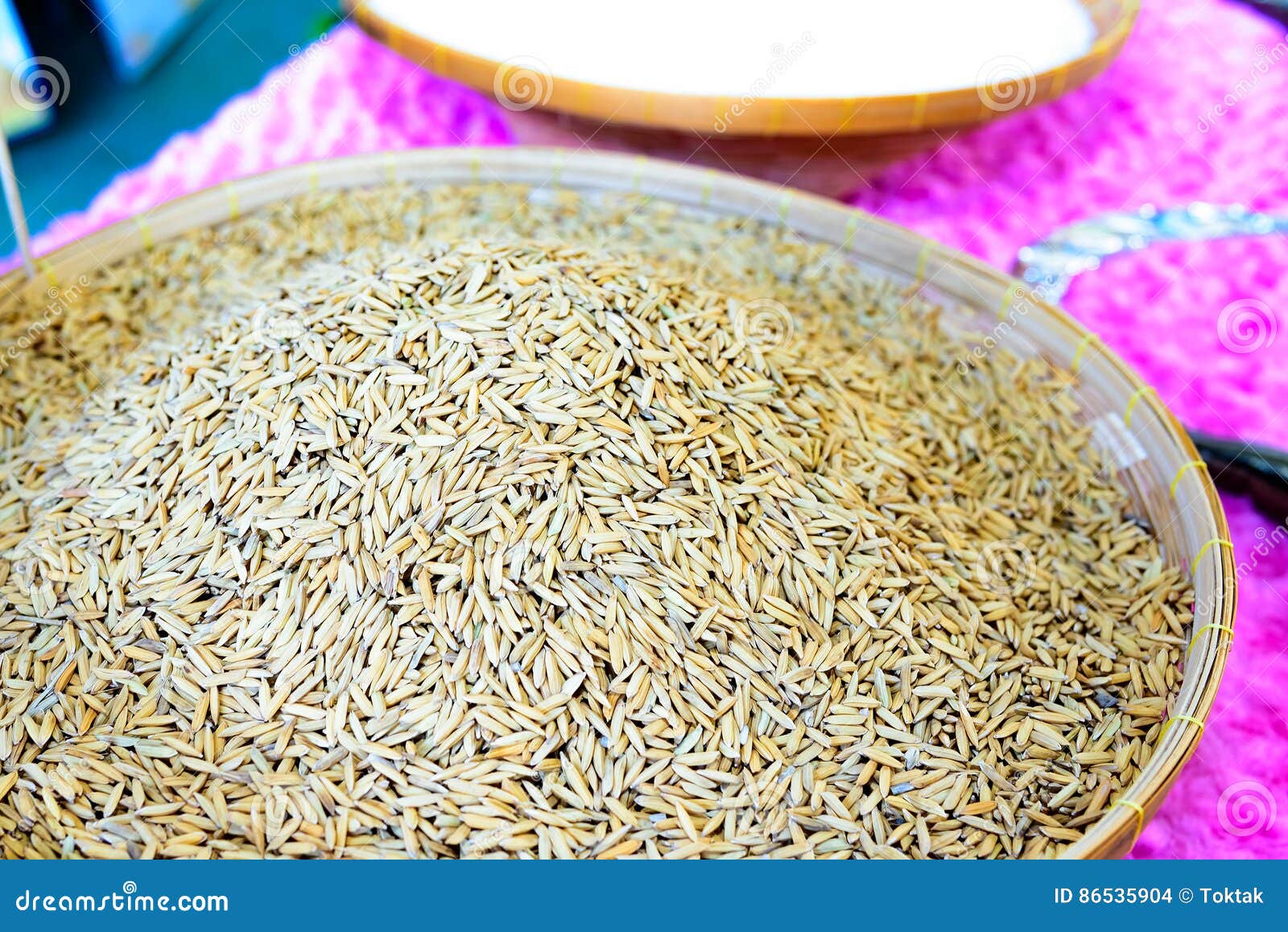 Paddy Rice on Threshing Basket Stock Photo - Image of grain ...