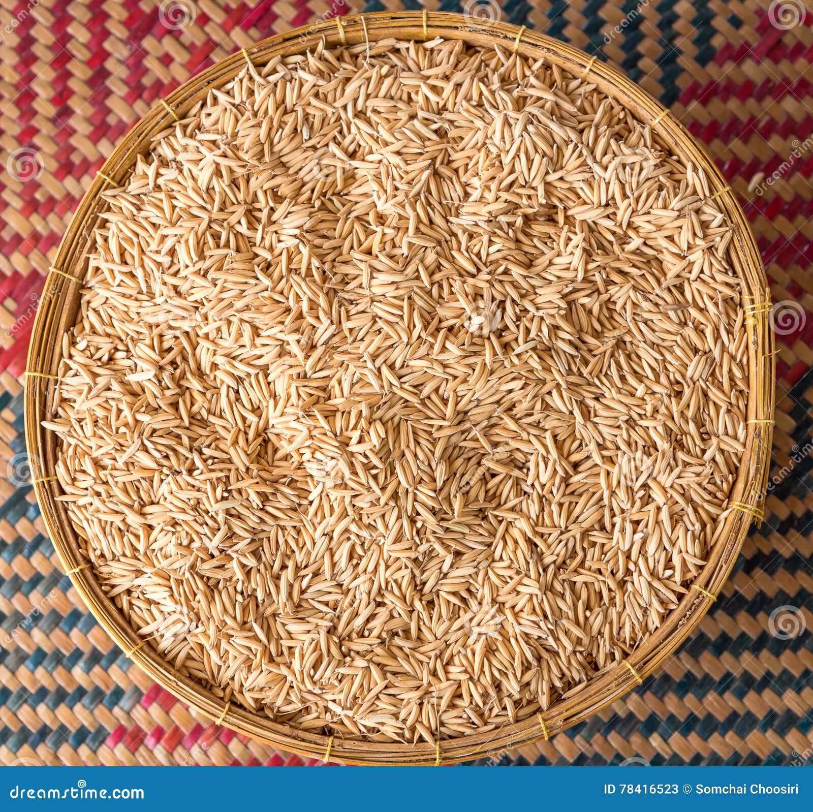 Paddy rice stock image. Image of food, nature, brown - 78416523