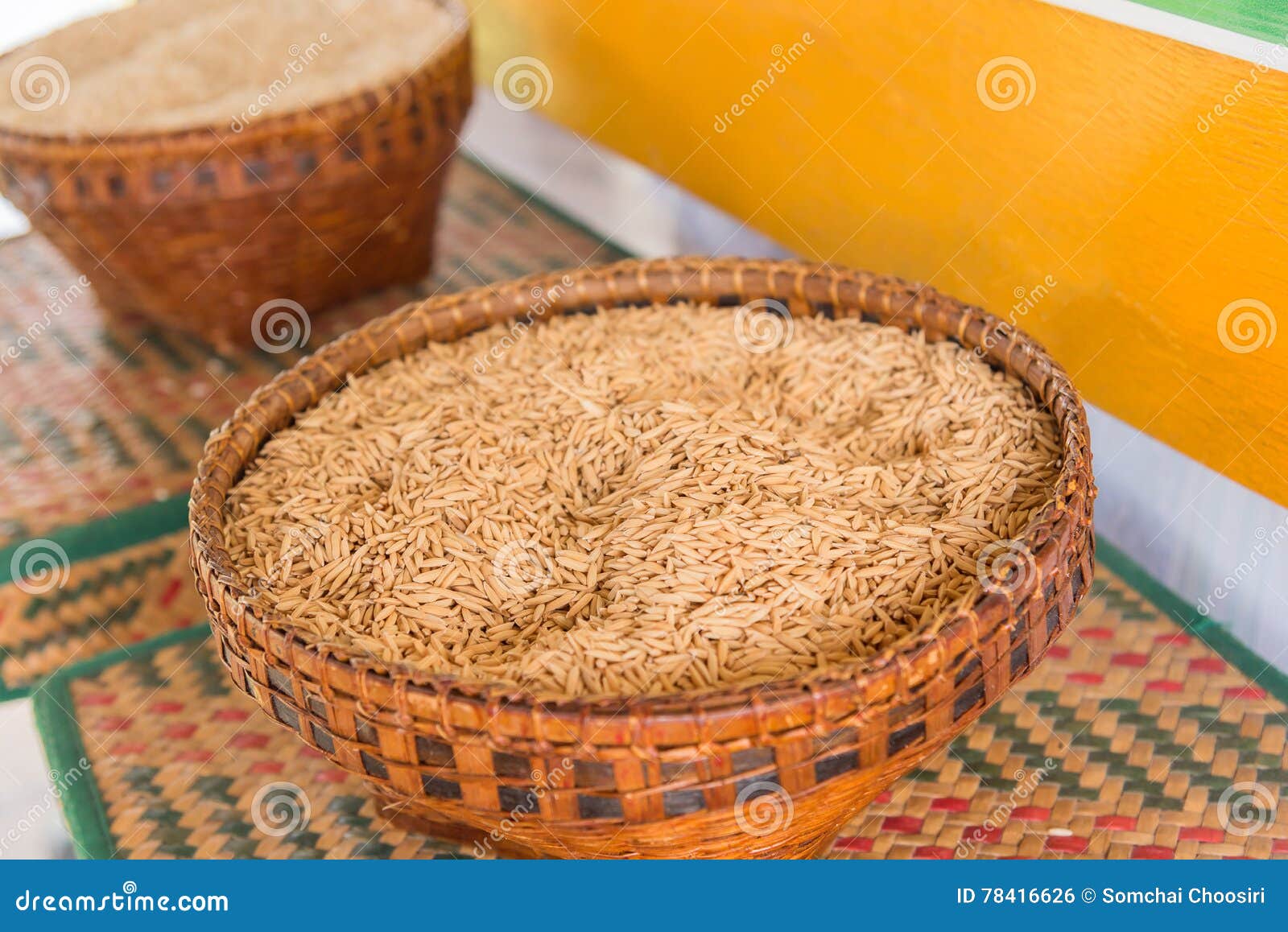 Paddy rice stock photo. Image of thailand, seed, farm - 78416626