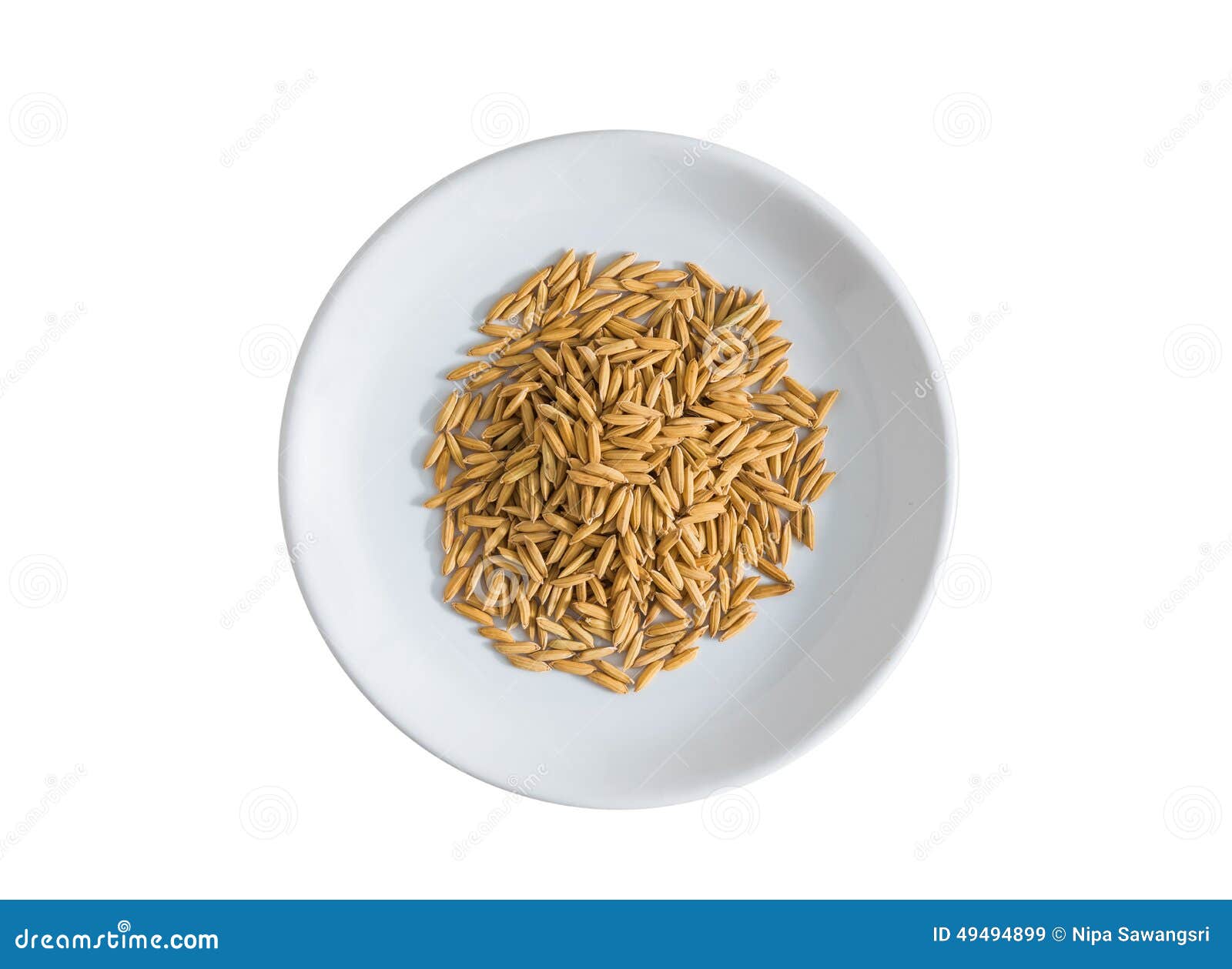 Paddy Rice in White Plate on White Background Stock Image - Image of ...