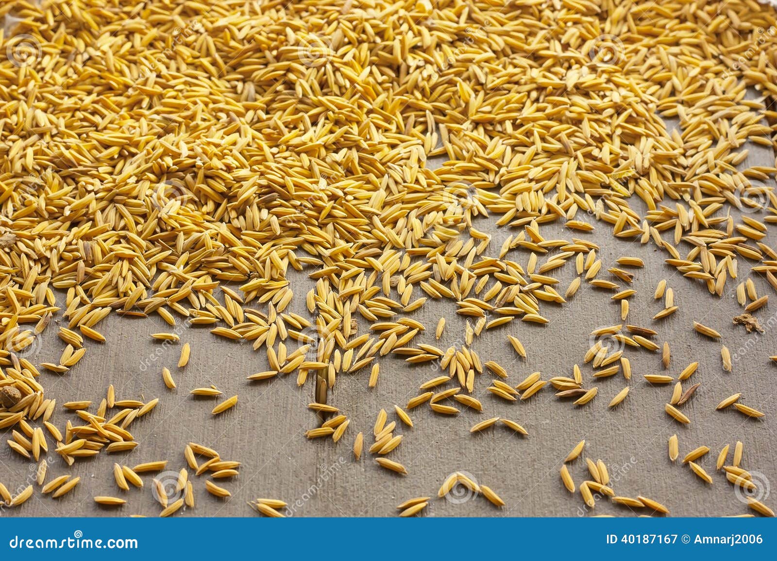Paddy rice stock image. Image of natural, crop, lots - 40187167