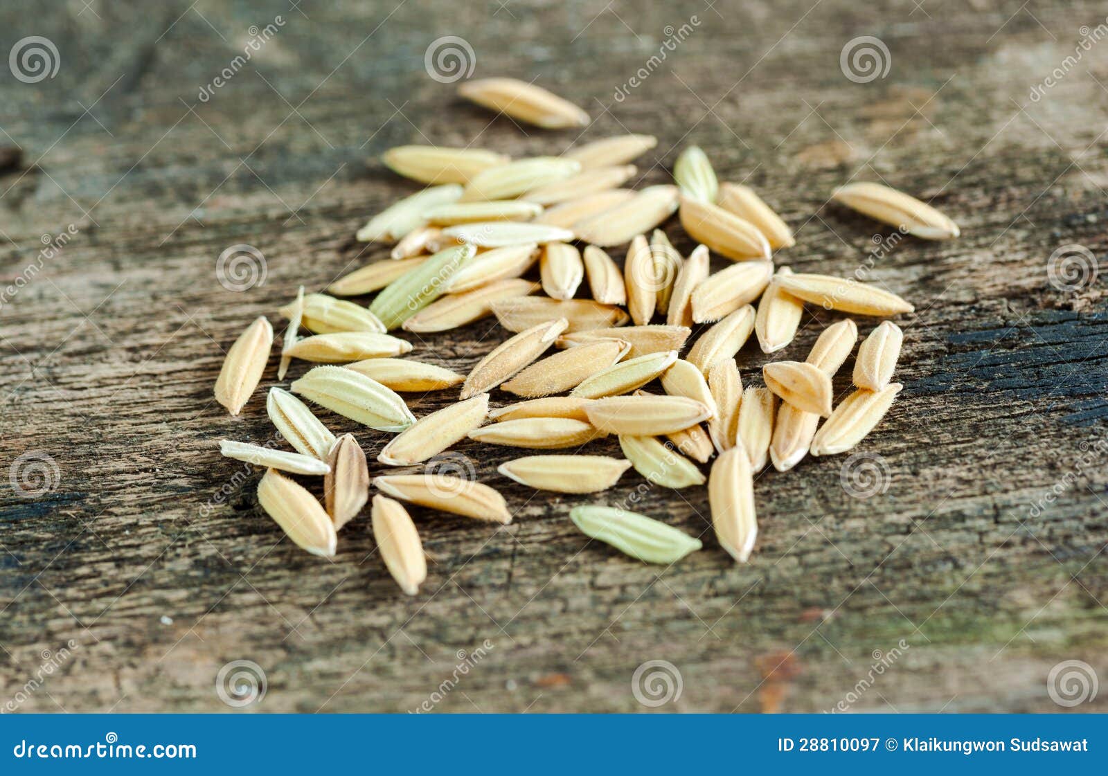 Paddy Seed after Harvest on Wood Close Up Stock Image - Image of asian ...