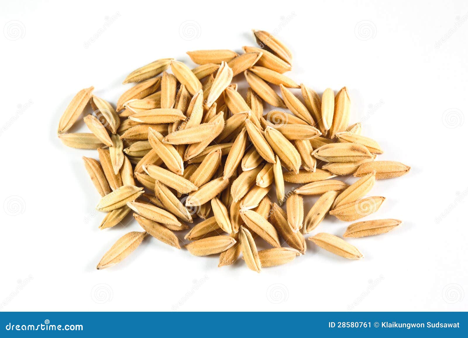 Paddy Seed Pile On White Background Stock Image - Image: 28580761