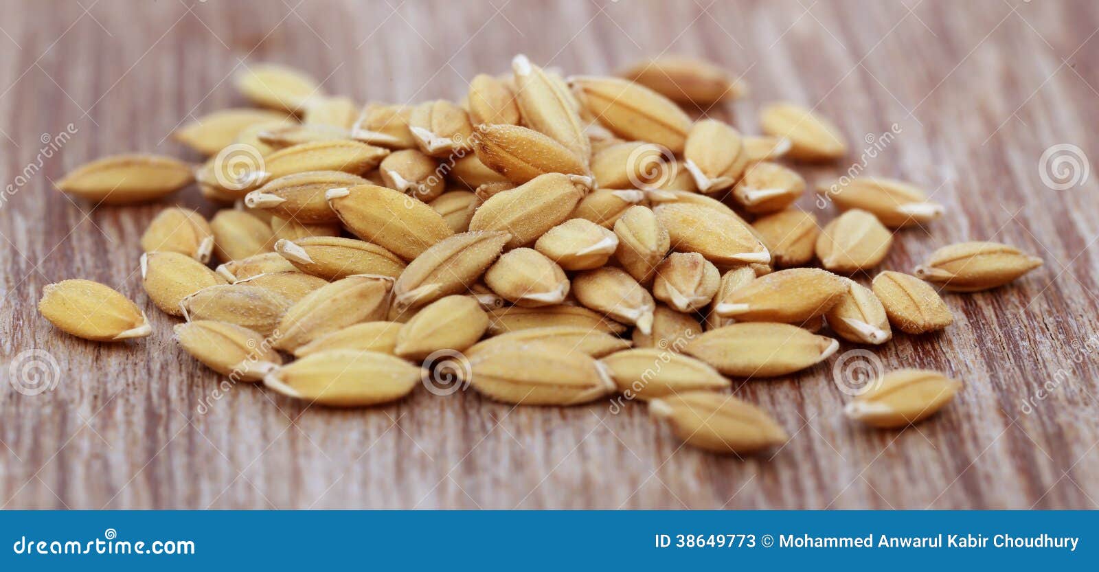 Paddy seeds stock image. Image of food, crop, asia, golden - 38649773