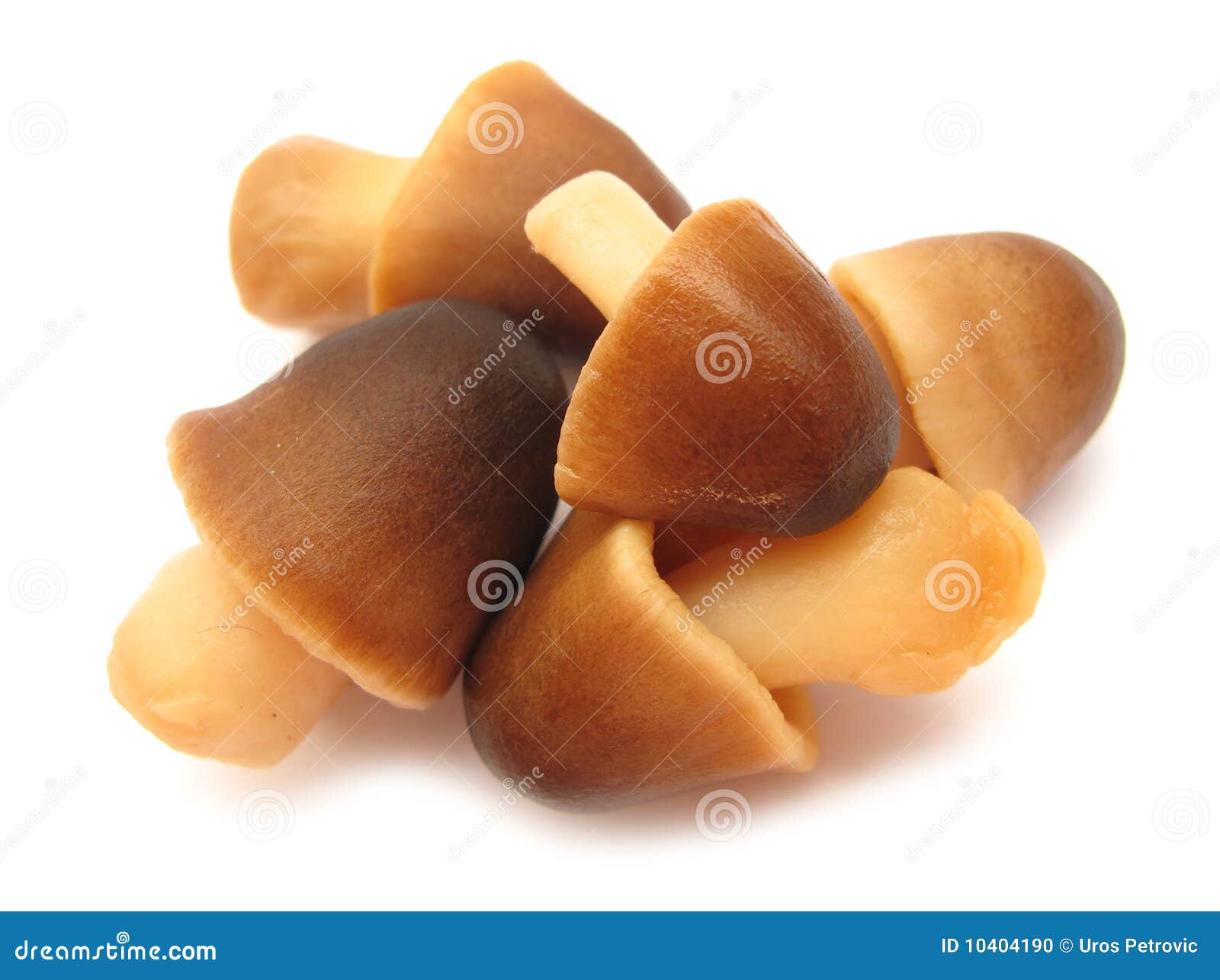 Paddy straw mushrooms stock photo. Image of color, chinese - 10404190