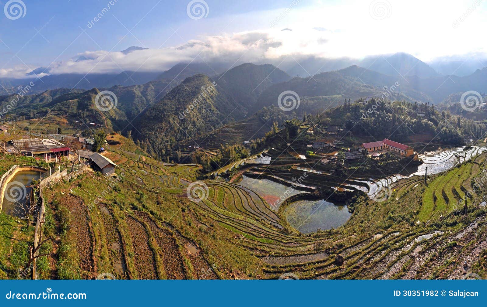 Paddy Terraces in Sapa, Vietnam Stock Photo - Image of highland, lush ...
