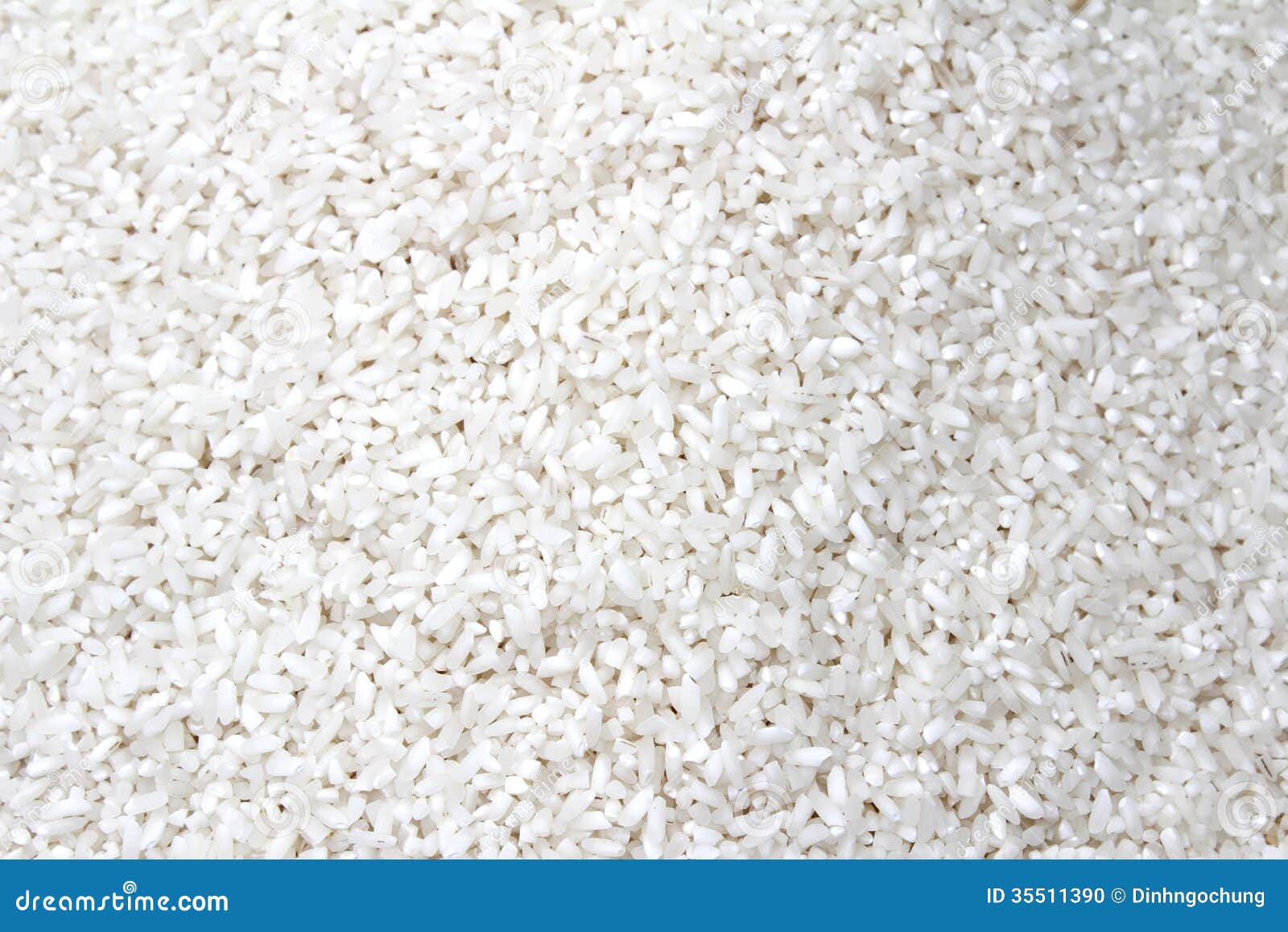 Paddy in Vietnam. Cook the Rice Stock Photo - Image of asia, jasmine ...