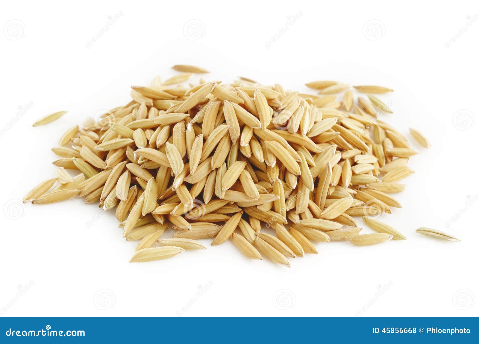 22,617 Paddy White Stock Photos - Free & Royalty-Free Stock Photos from ...