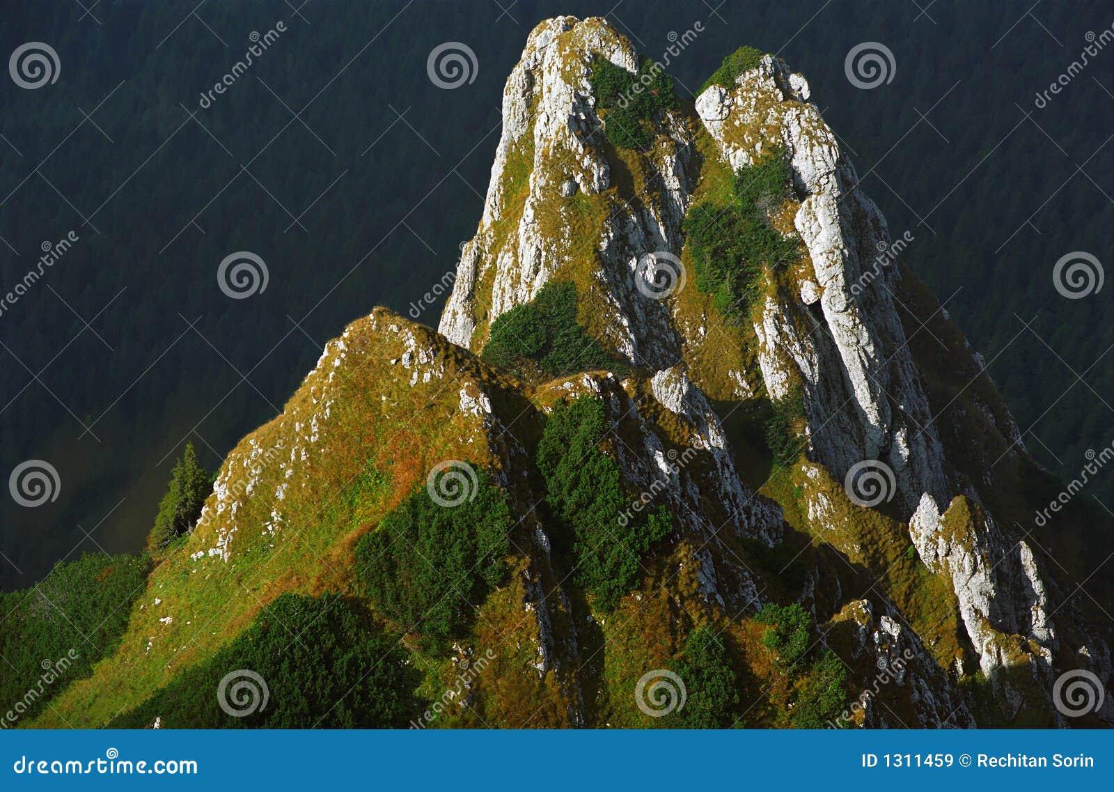 Padina stock image. Image of stone, mountains, park, outdoor - 1311459