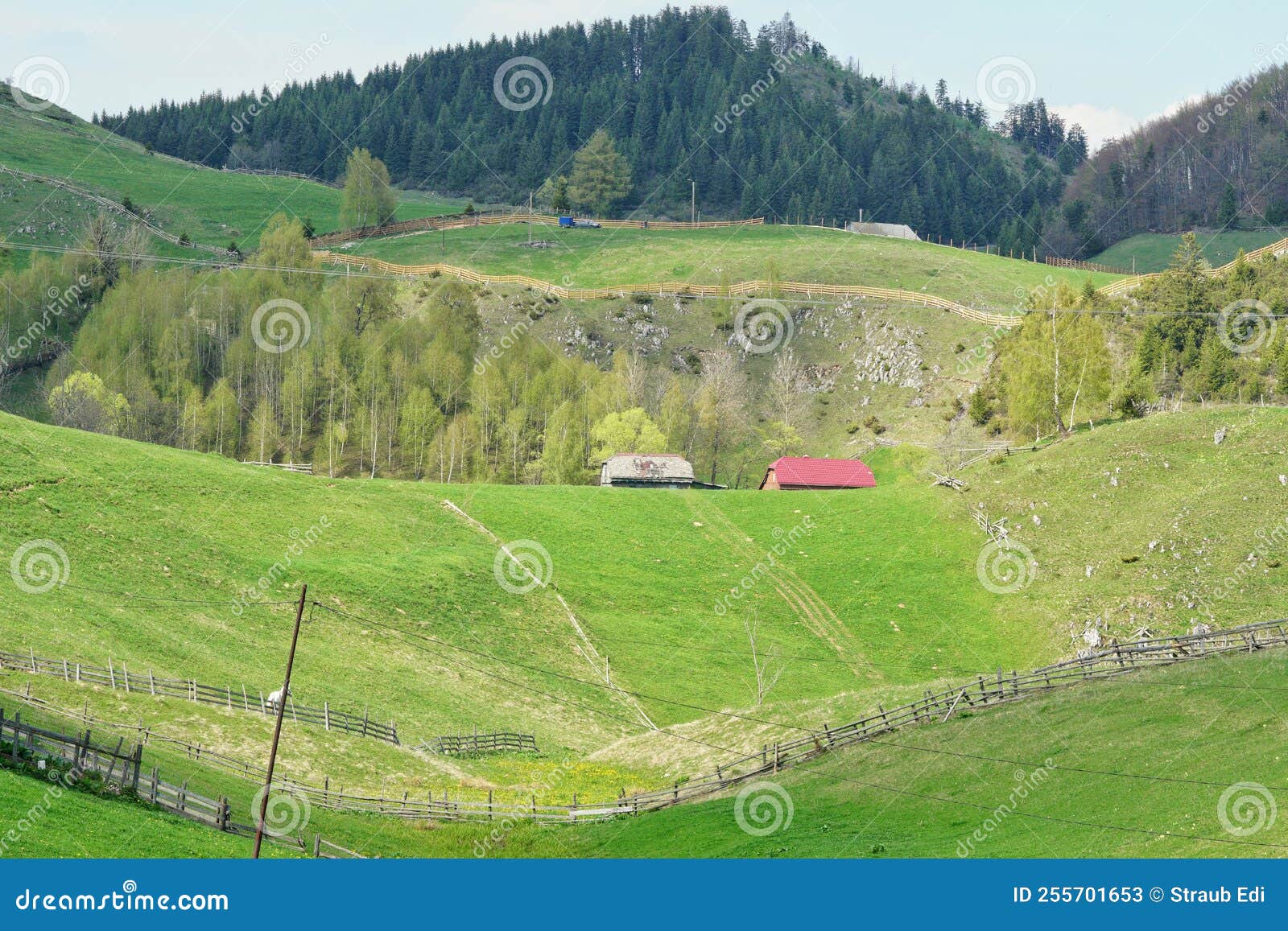 Padina Ursului - Beautiful Romania Stock Image - Image of romania ...