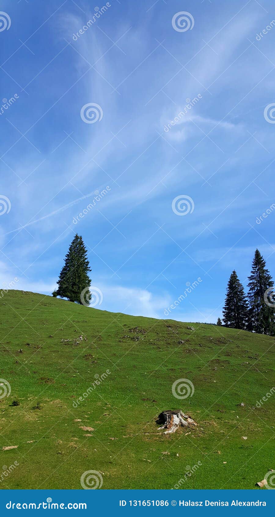 Padis stock photo. Image of times, summer, padis, nature - 131651086