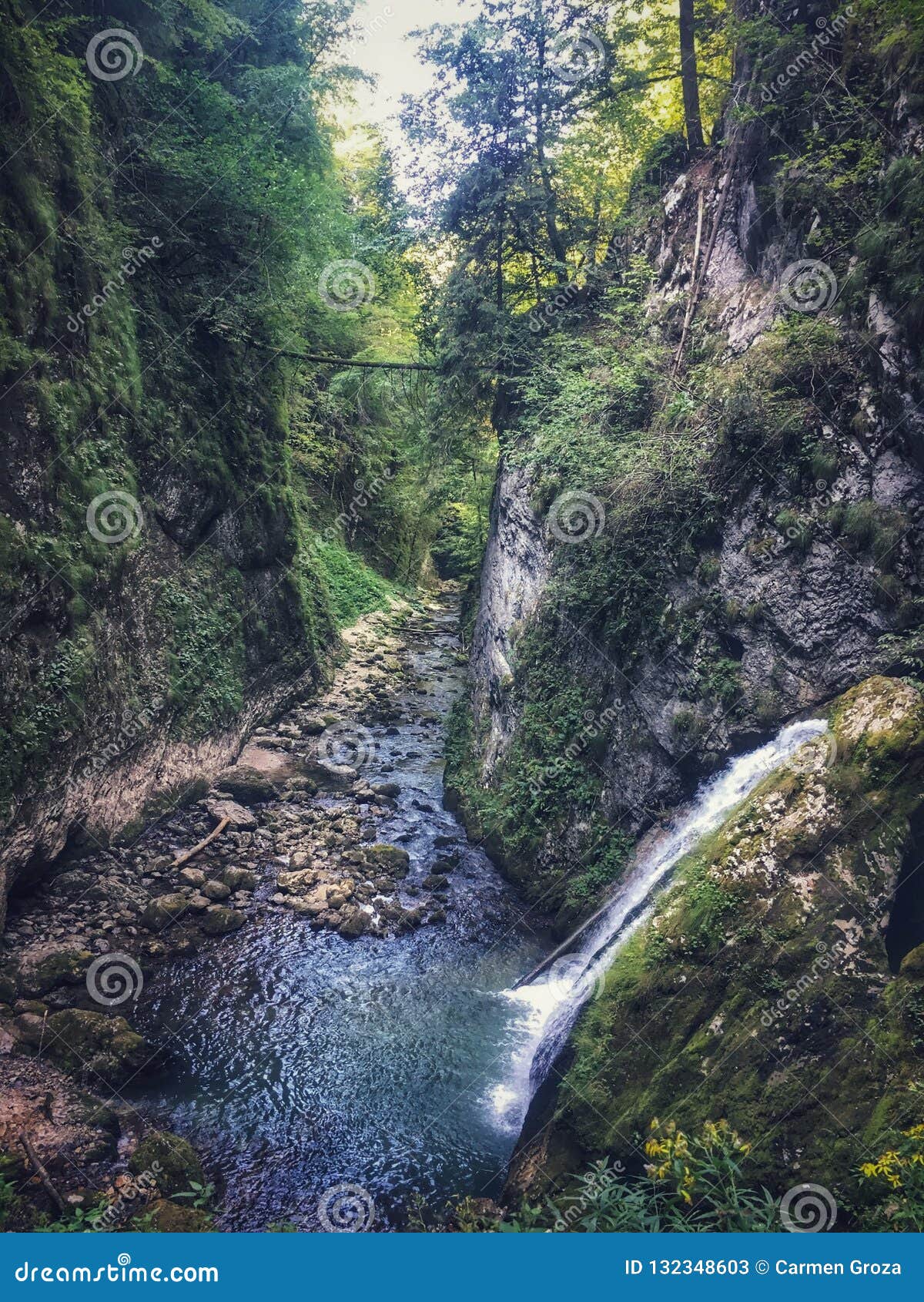 Padis Romania stock image. Image of romania, nature - 132348603