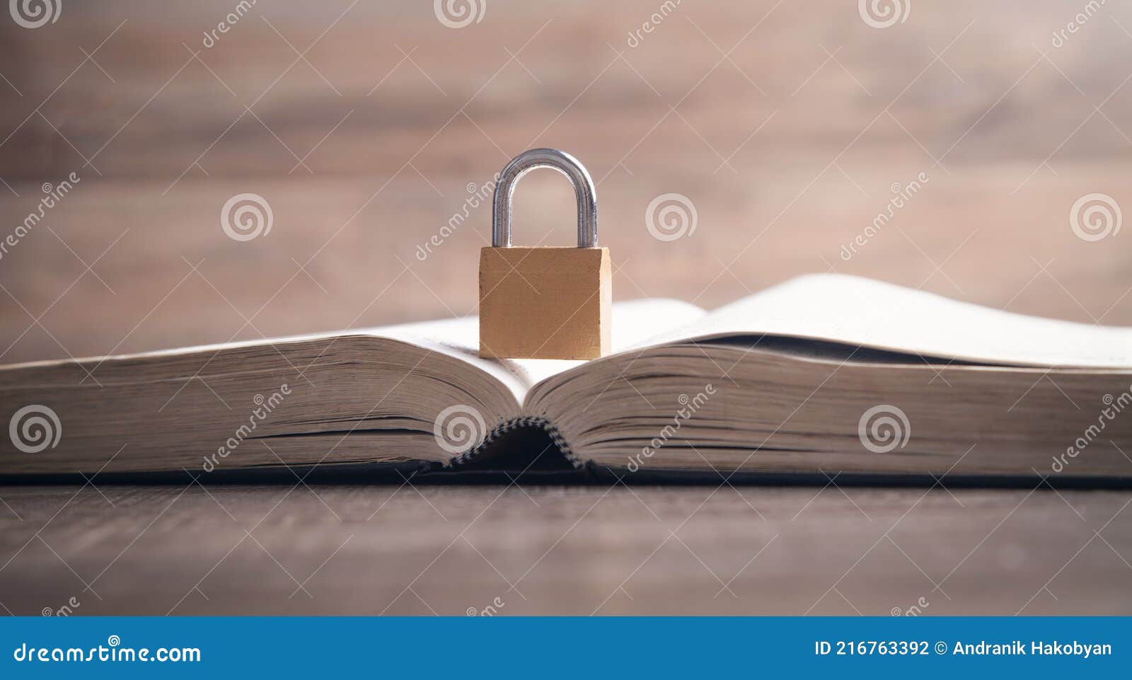 Padlock on the Book. Information Security Stock Photo - Image of ...