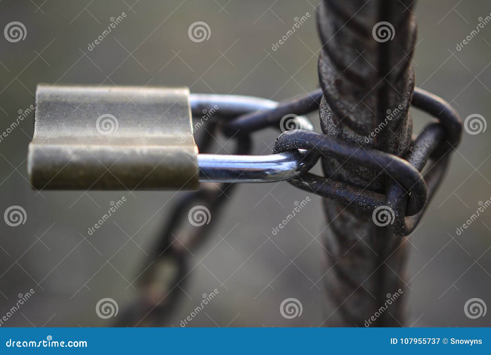 Padlock and chain stock image. Image of locks, private - 107955737