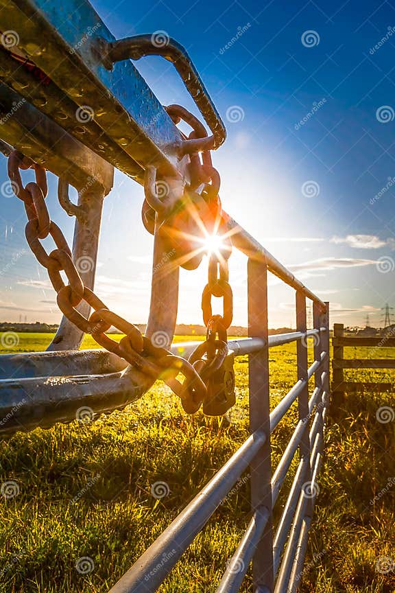 Padlock and Chain on a Farm Gate Stock Photo - Image of chained ...