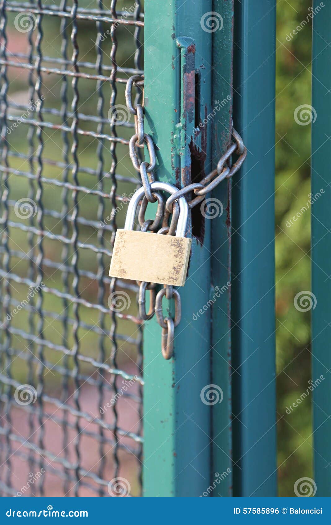 Padlock Chain stock photo. Image of fence, lock, security - 57585896