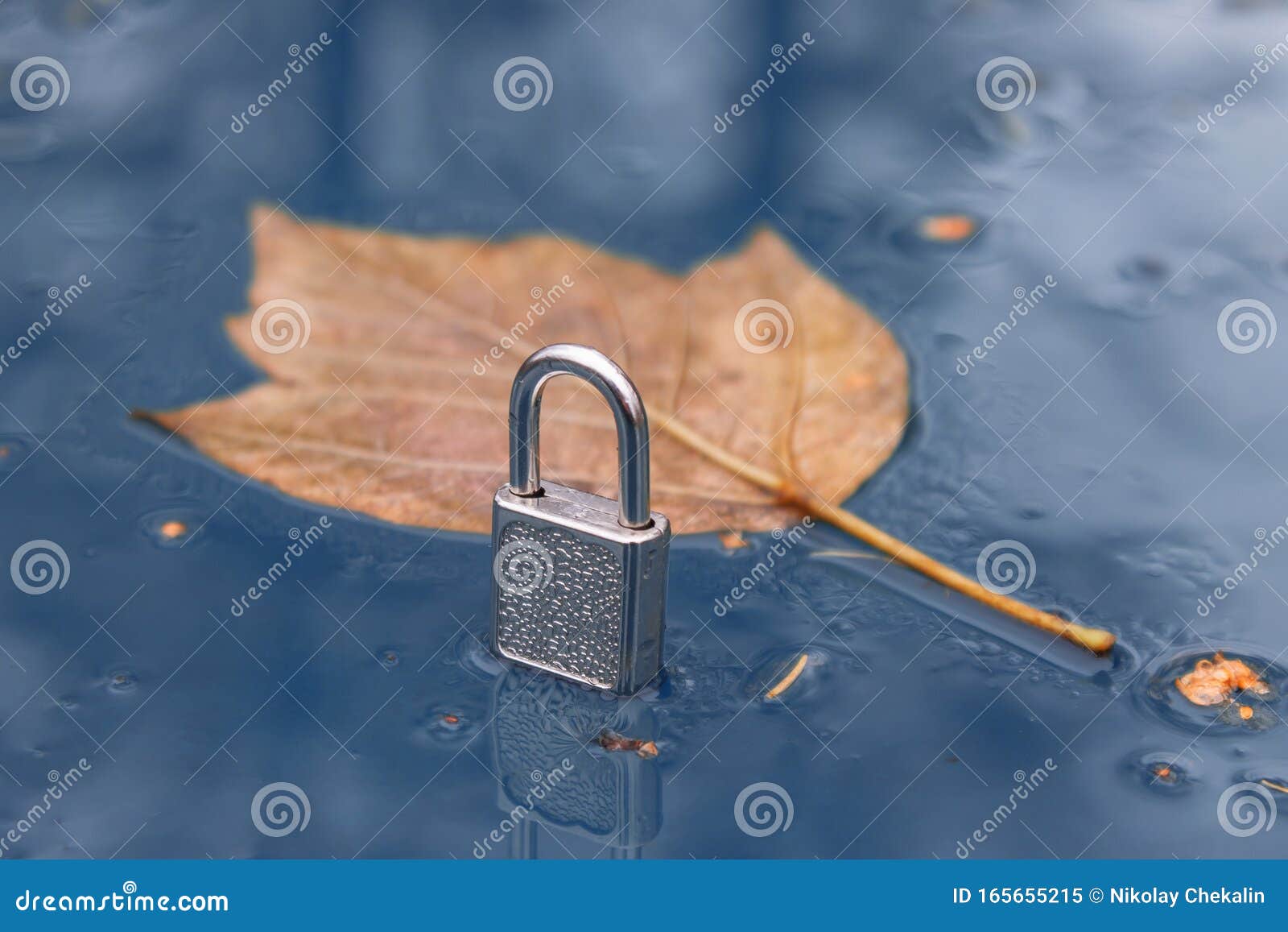 A Padlock and a Fallen Autumn Leaf on a Wet Table Symbolize the End of ...