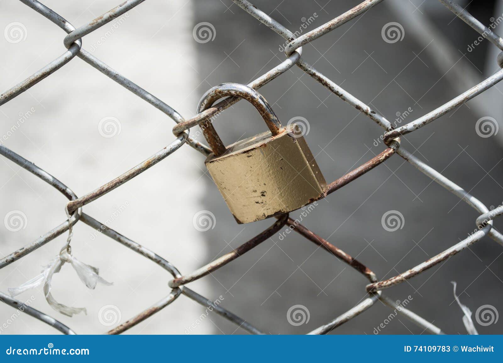Padlock on Fence stock image. Image of rusty, iron, fence - 74109783