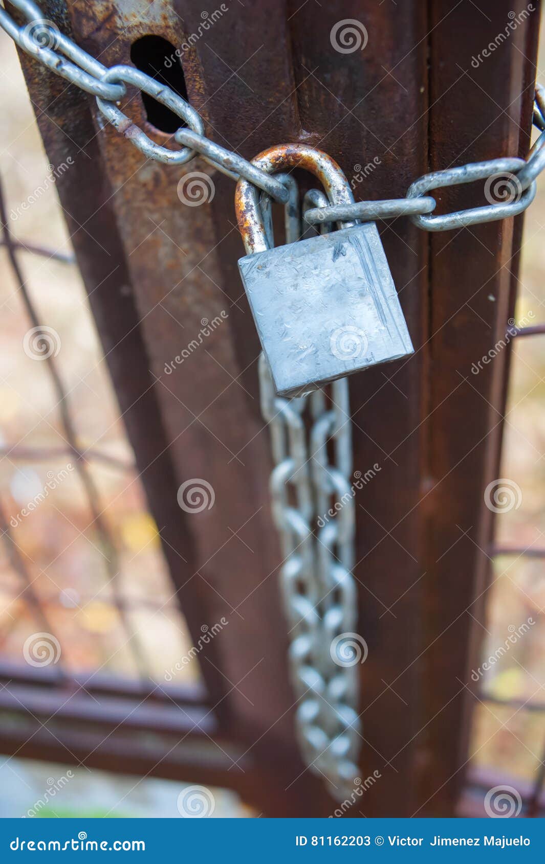 Padlock on a gate stock image. Image of padlock, complete - 81162203