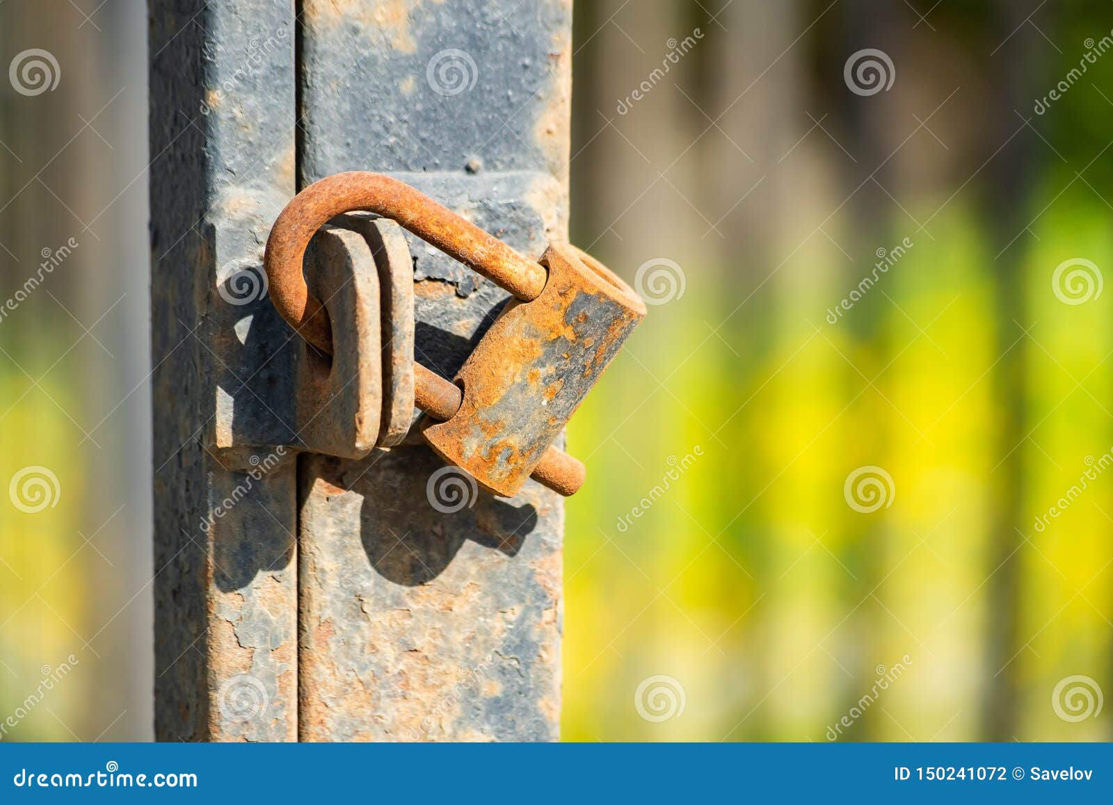 Padlock on the Gate Covered with Corrosion Stock Photo - Image of door ...