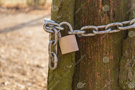 A Padlock Locked on a Chain that is Around a Tree Stock Image - Image ...