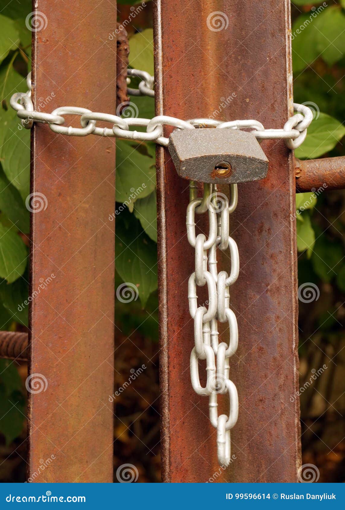 Padlock on the Metal Chain, Locking the Entrance. Stock Photo - Image ...