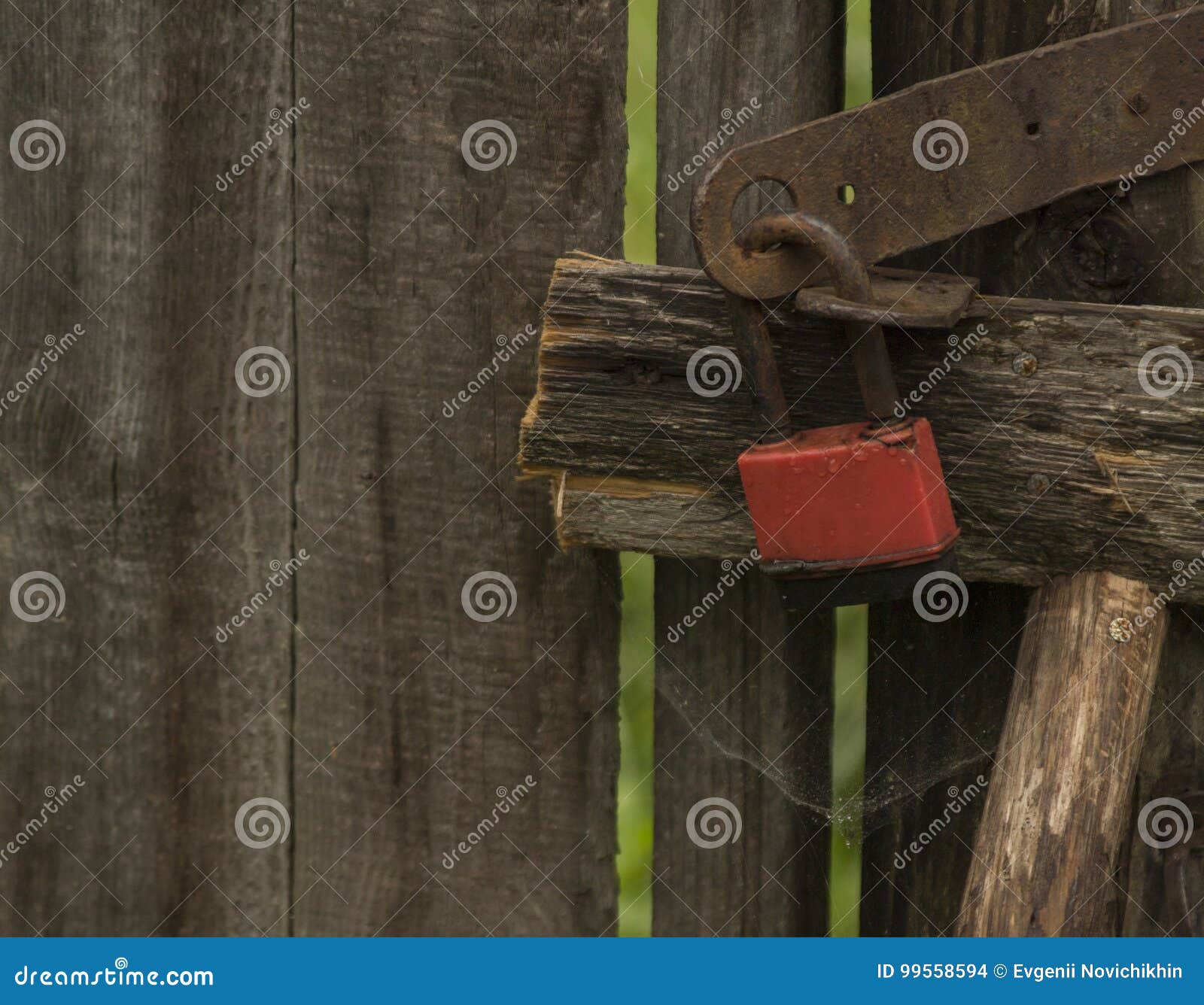 Padlock stock photo. Image of metal, freedom, hanging - 99558594