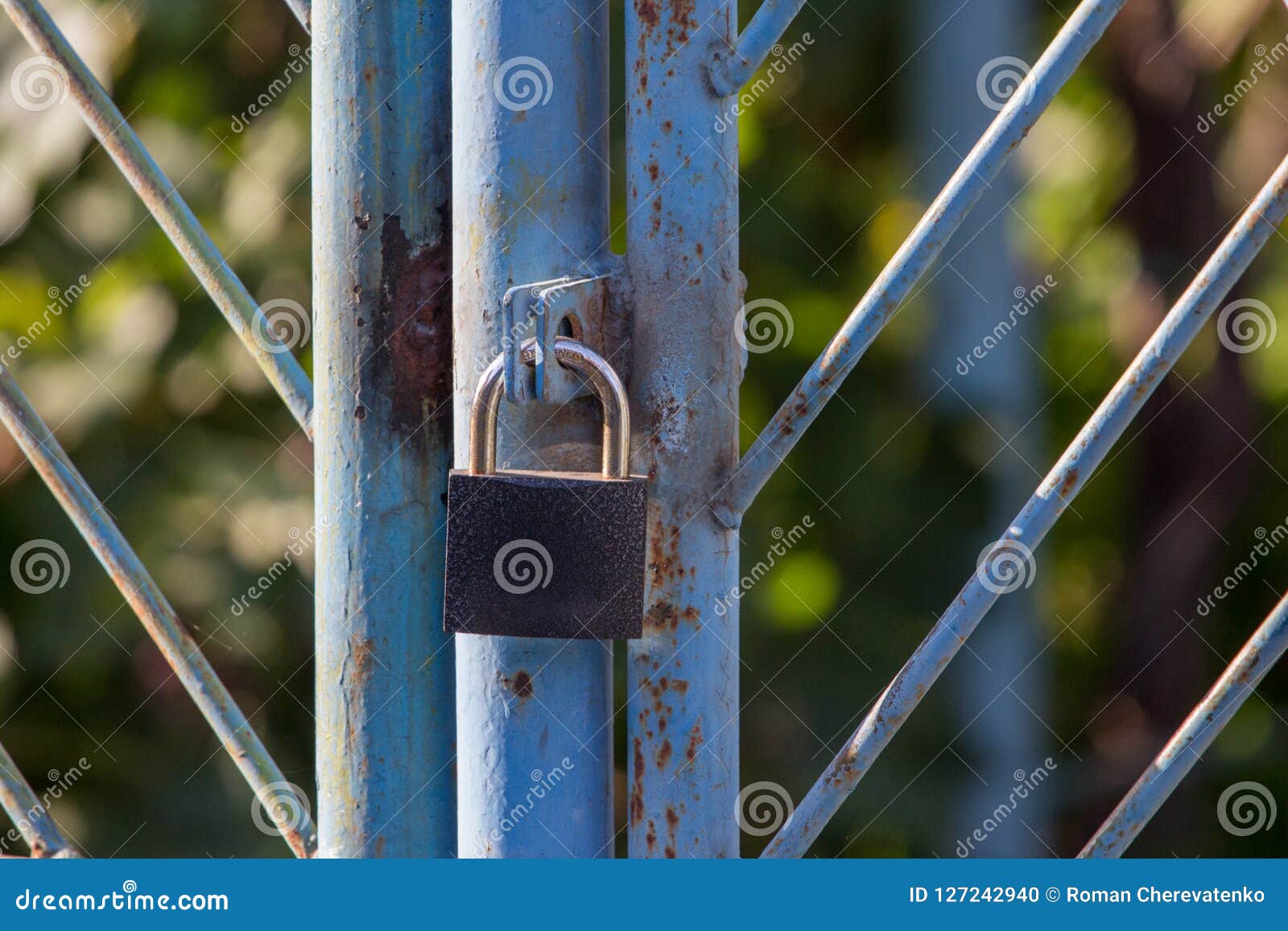 A Padlock of the Old Style on the Gate. Stock Photo - Image of padlock ...