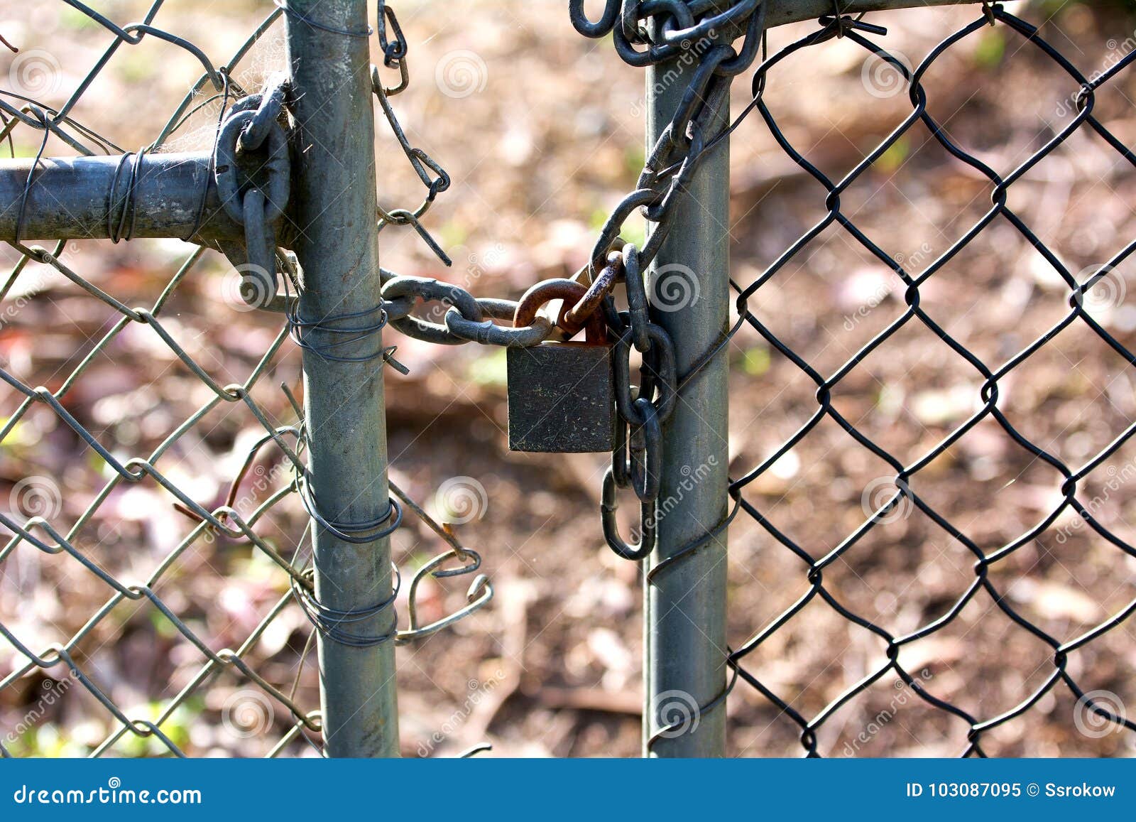 Padlocked gate stock image. Image of closed, wire, wirefence - 103087095