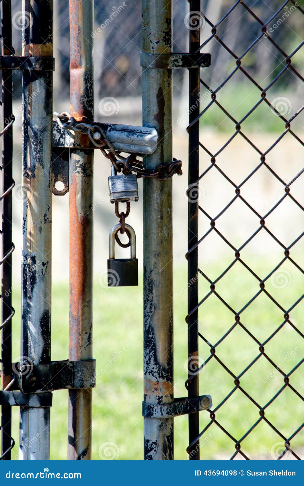 Padlocked gate stock photo. Image of vertical, protection - 43694098