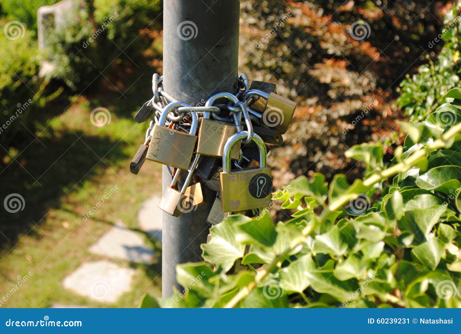 Padlocks on post stock image. Image of beautiful, loyalty - 60239231