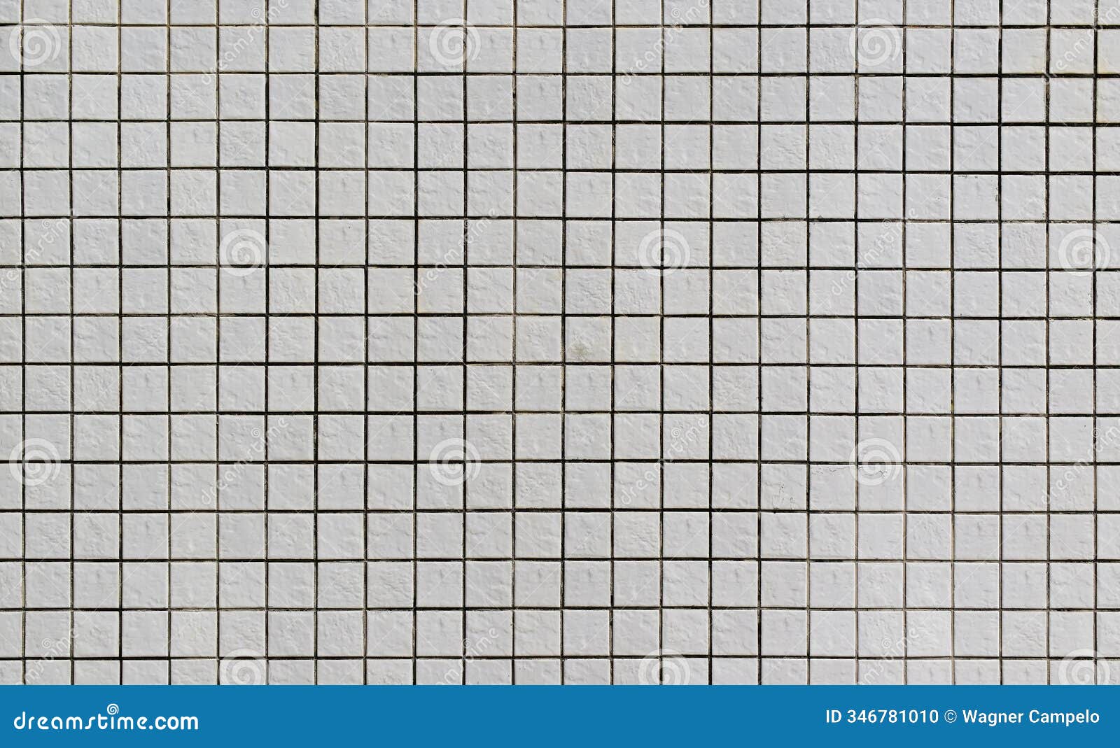 Pads Texture Background in White, Rio Stock Photo - Image of decor ...