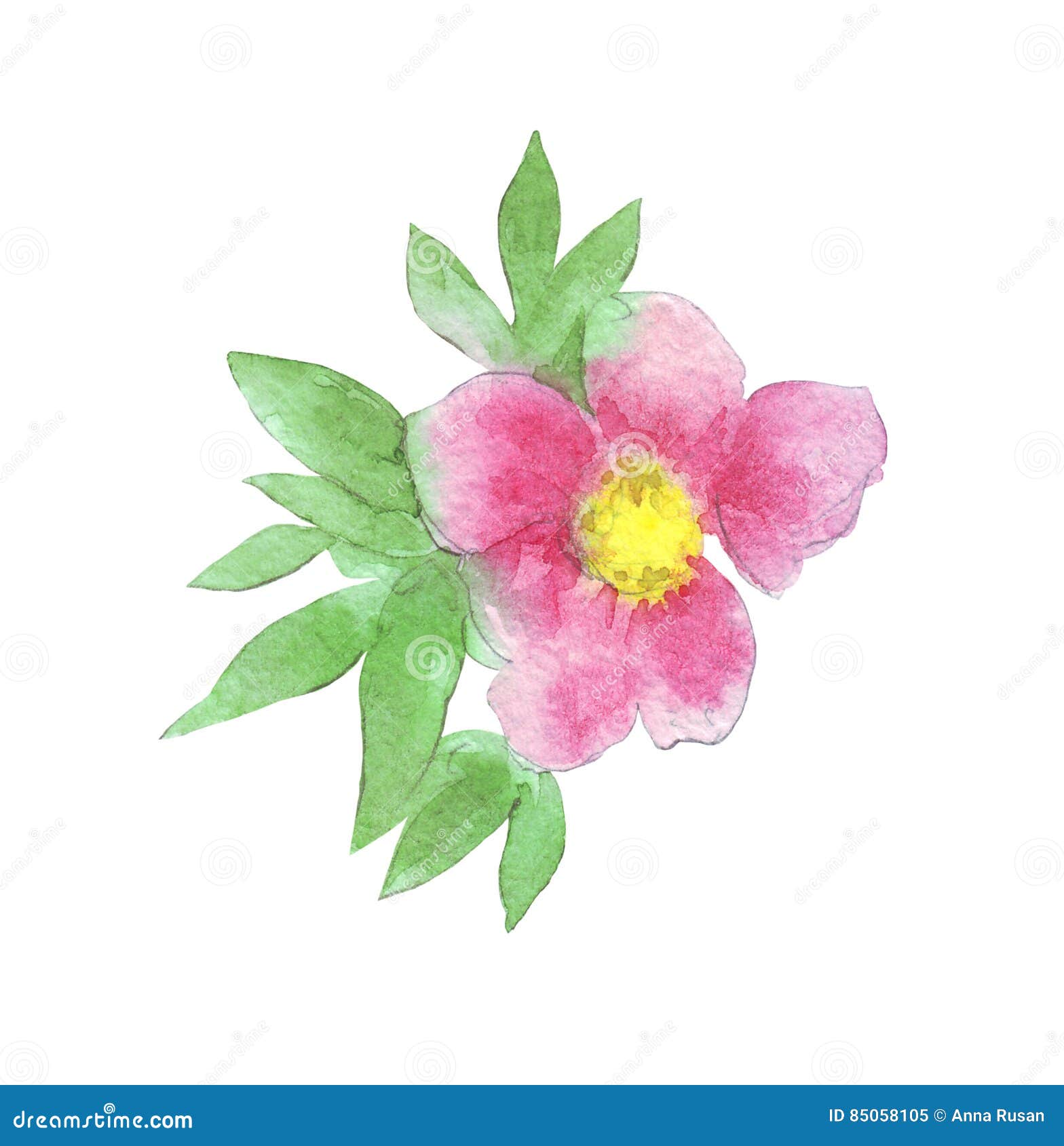 Anomala Cartoons, Illustrations & Vector Stock Images - 47 Pictures to ...