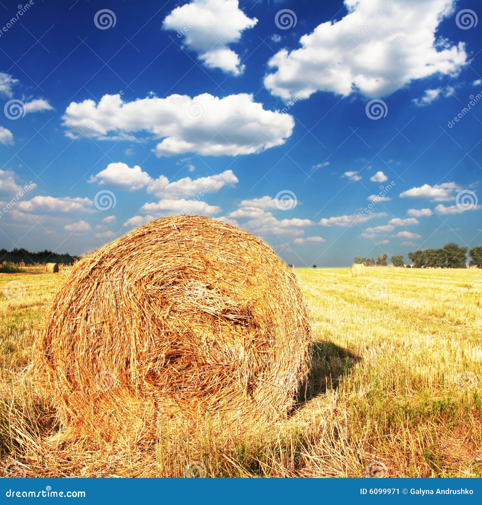 Paesaggi rurali immagine stock. Immagine di autunno, alberi - 6099971