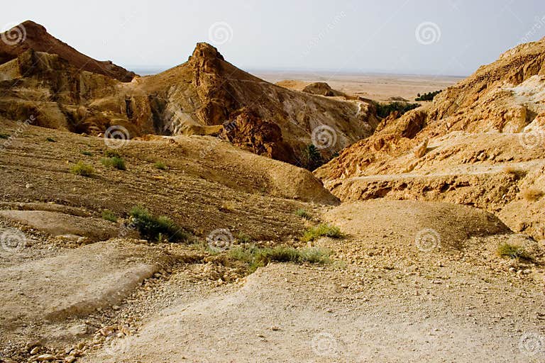 Paesaggio arido fotografia stock. Immagine di abbandonato - 2934488