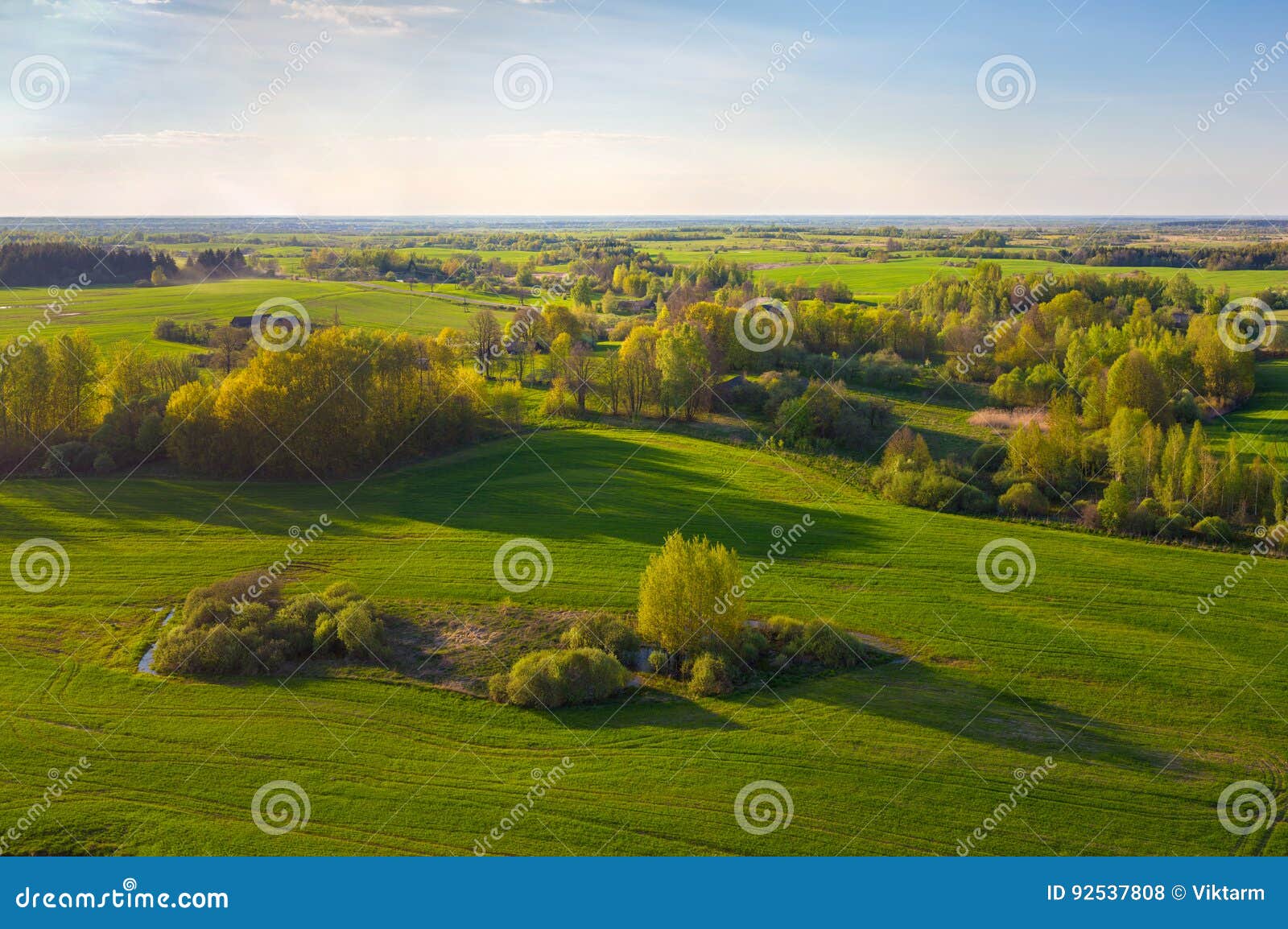 Paesaggio Bielorusso Della Primavera Fotografia Stock - Immagine di ...