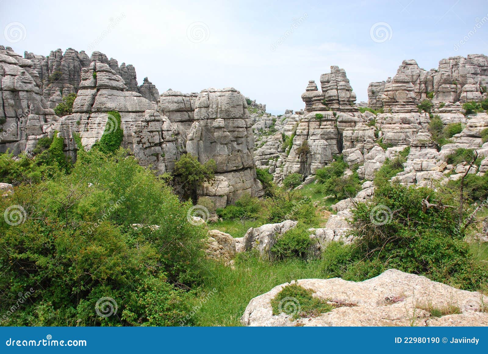 Paesaggio carsico fotografia stock. Immagine di luogo - 22980190