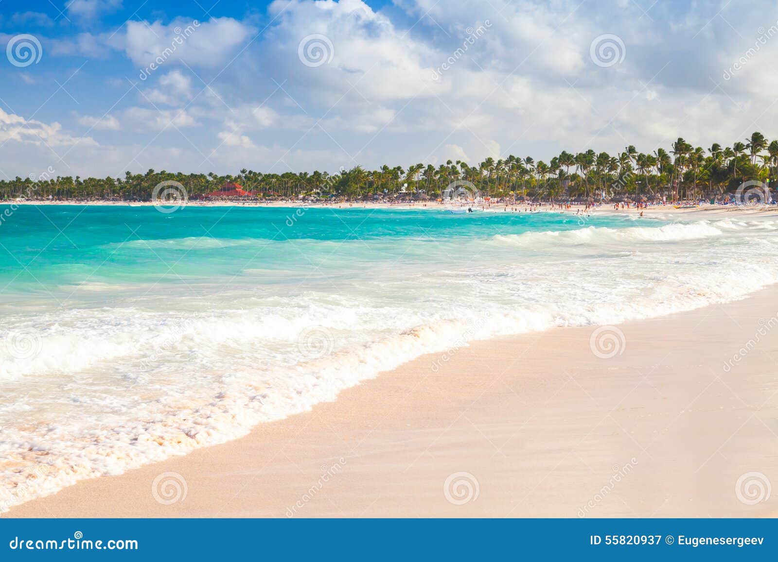 Paesaggio Costiero Dei Caraibi Sandy Beach Immagine Stock - Immagine di ...