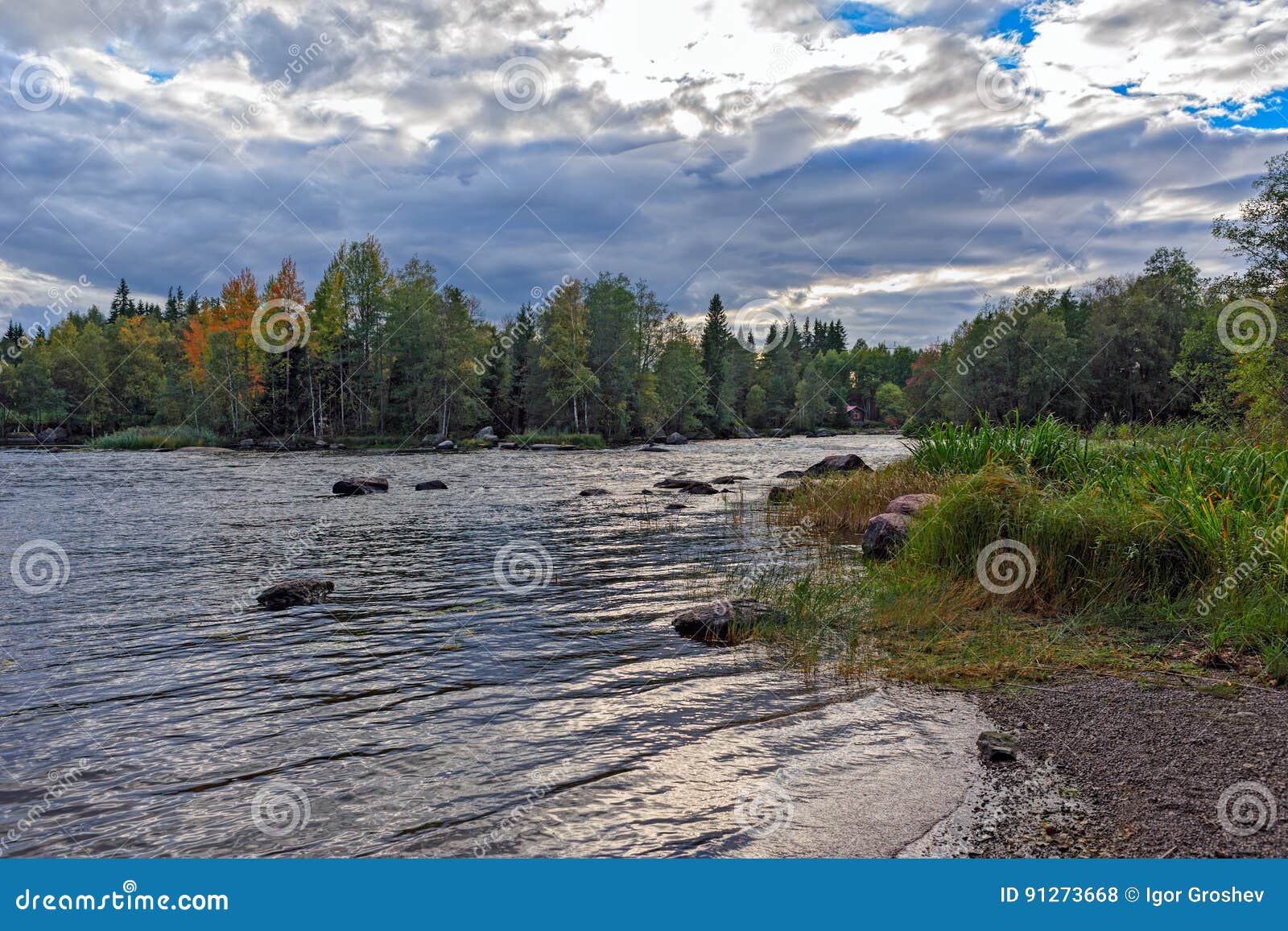 Paesaggio Del Fiume Di Kymi Fotografia Stock - Immagine di albero ...