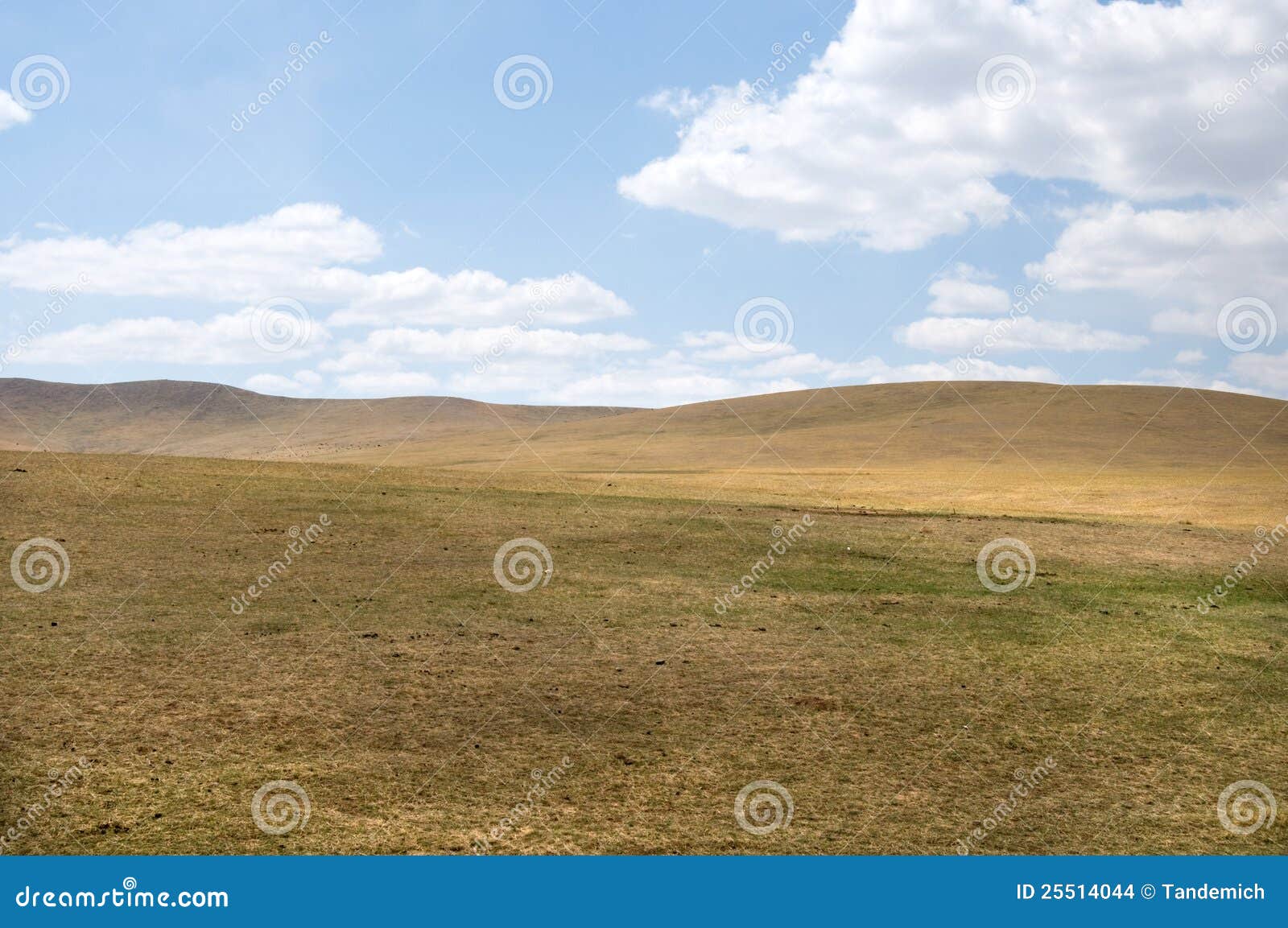 Paesaggio della steppa fotografia stock. Immagine di paese - 25514044