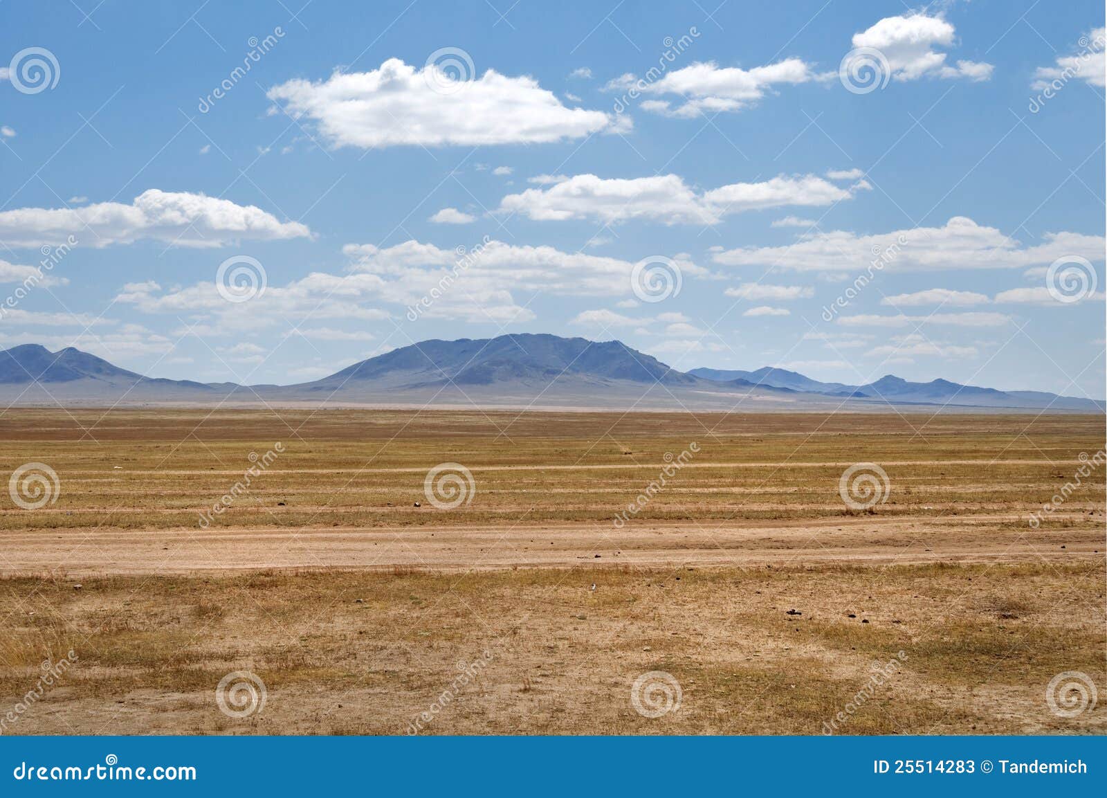 Paesaggio della steppa immagine stock. Immagine di duna - 25514283