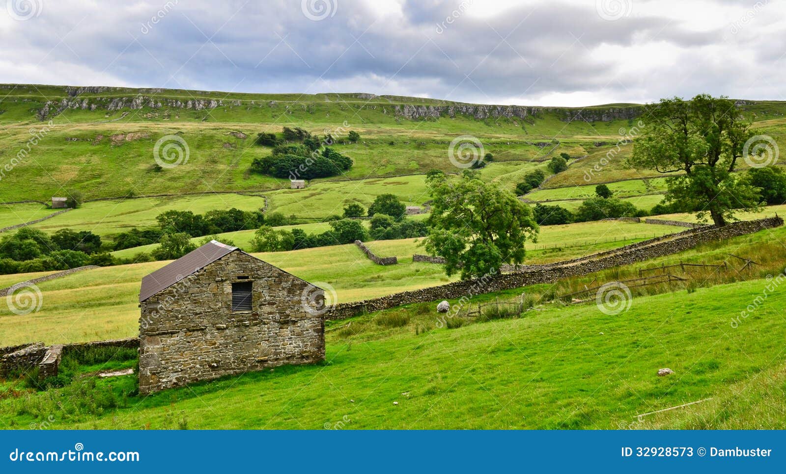 Paesaggio Delle Vallate Di Yorkshire Immagine Stock - Immagine di ...