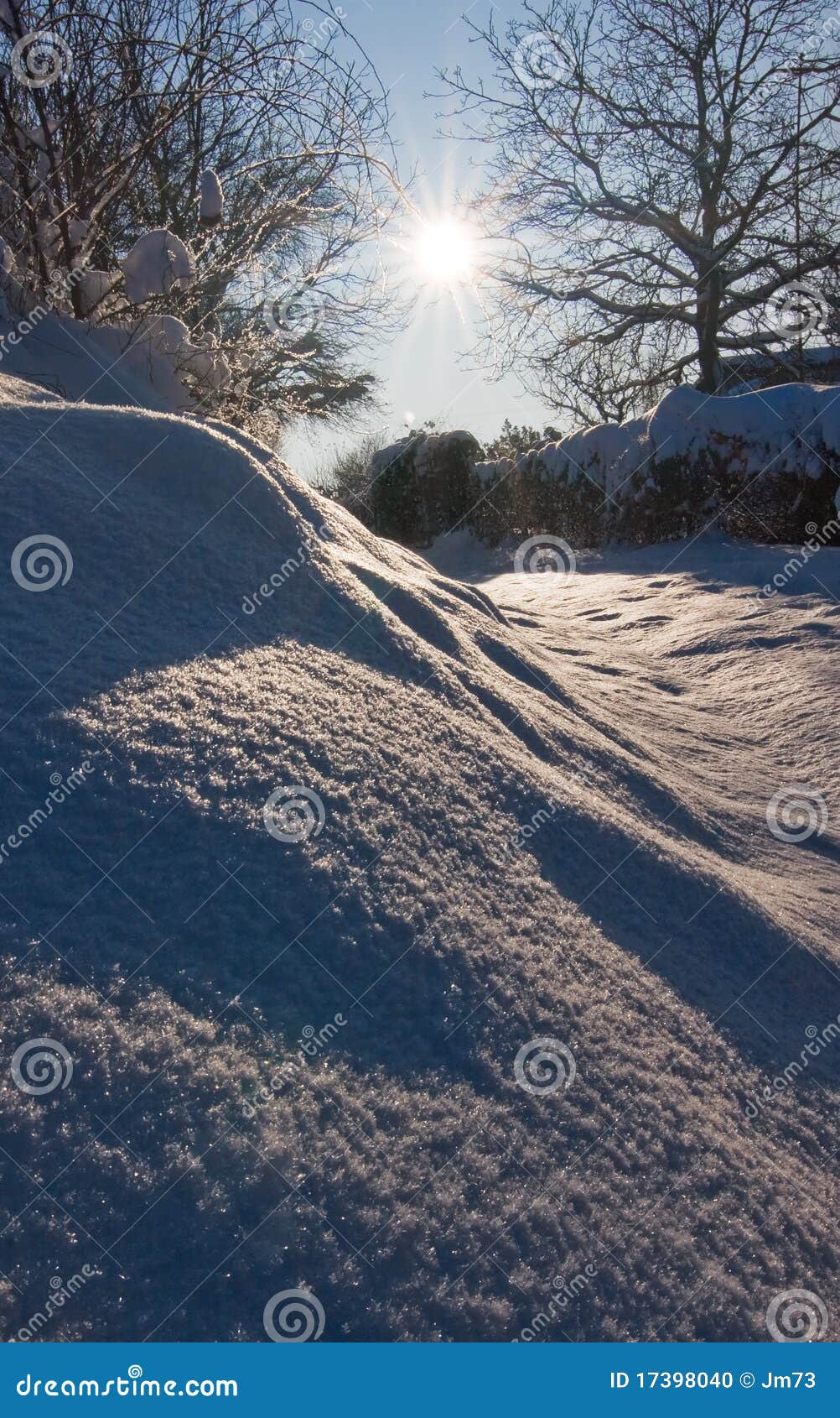 Paesaggio Di Inverno Con Il Sole Fotografia Stock - Immagine di ...