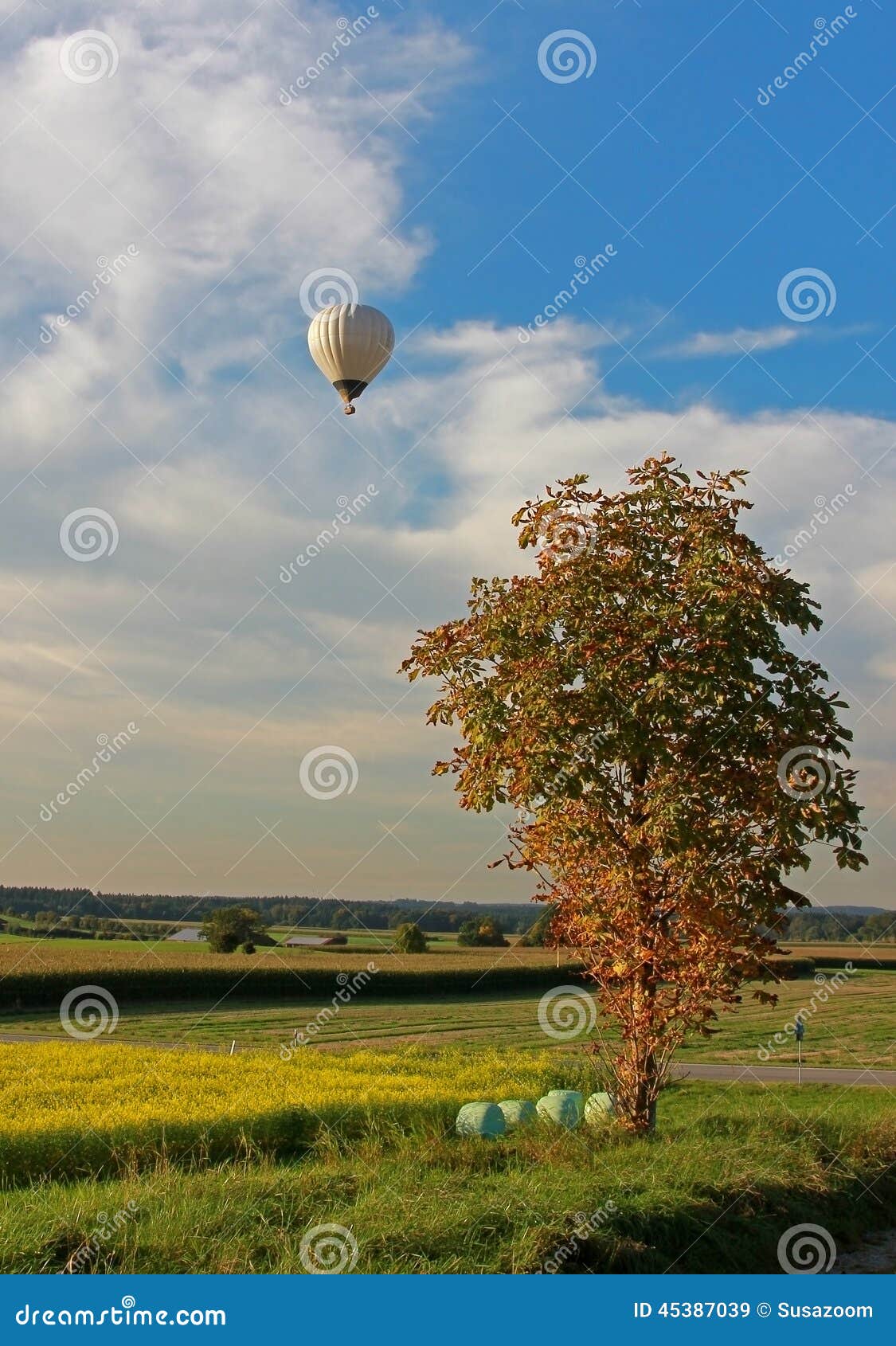 Paesaggio E Mongolfiera Rurali Immagine Stock - Immagine di giro, caldo ...
